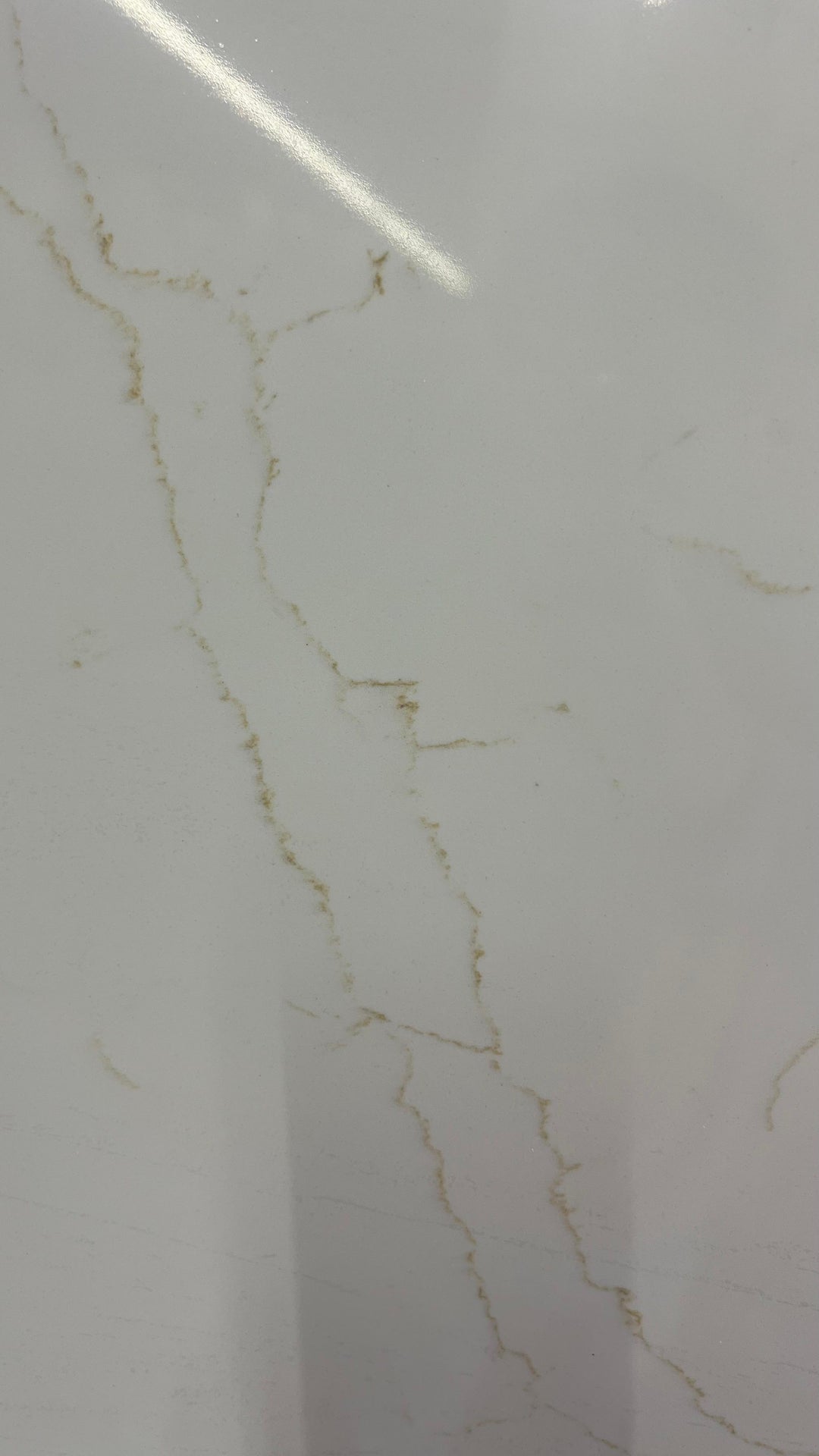 Clara Gold Quartz Countertops